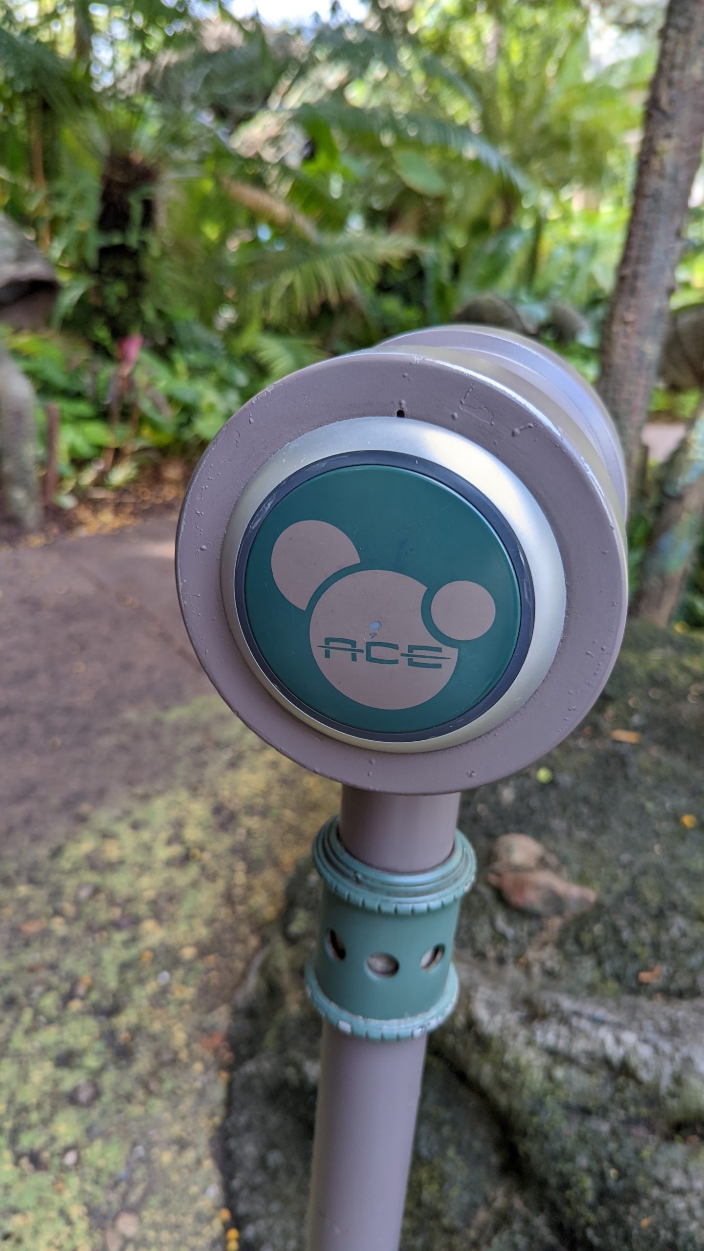 Park Hopping & Lightning Lane at Disney World in One Day: Is it Doable?