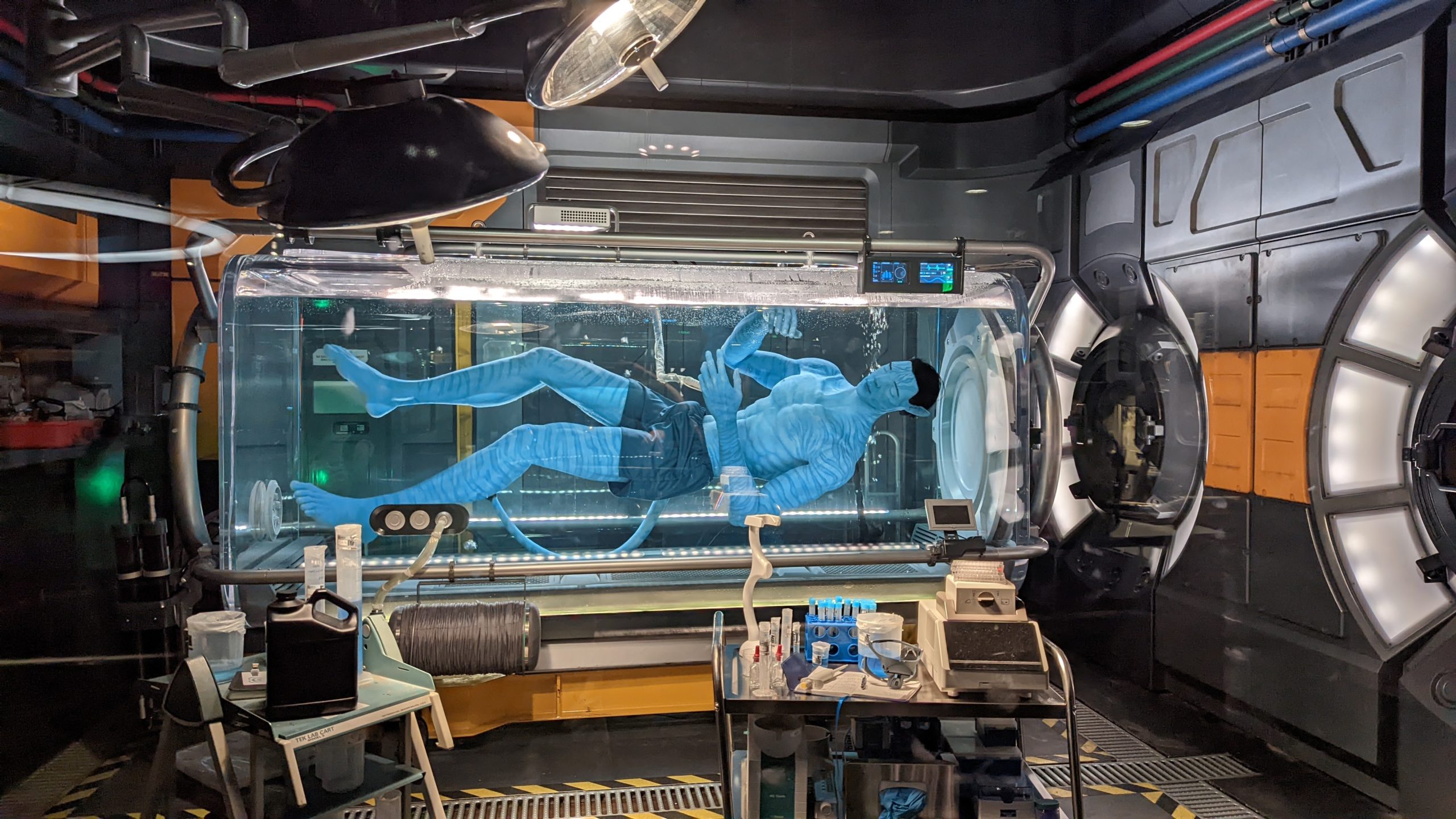 How to Ride Avatar Flight of Passage