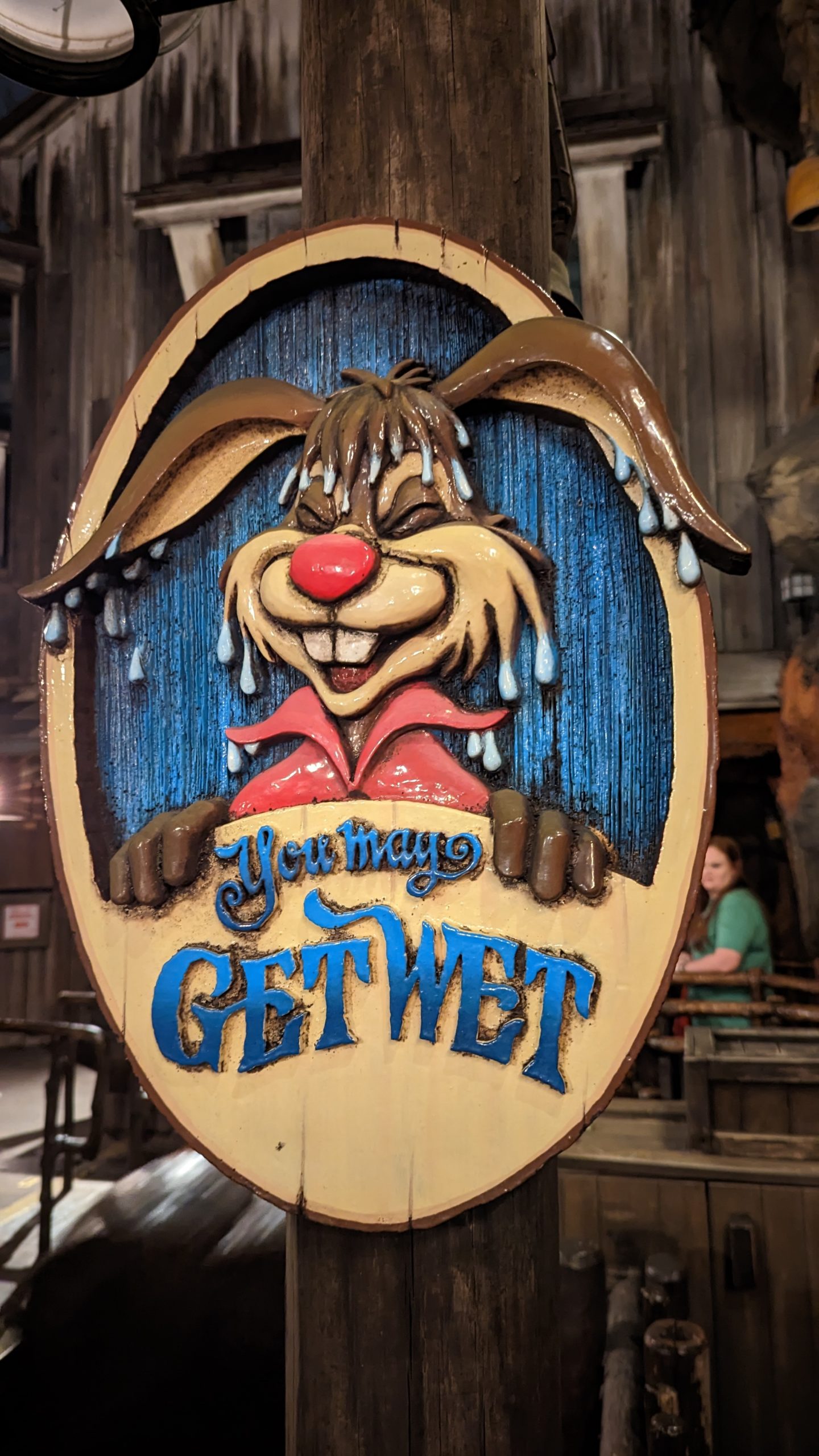 Farewell to Splash Mountain!